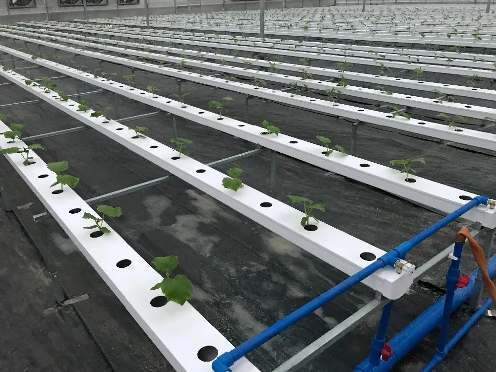 Hydroponic Grow Systems For Removable Lid 120 80mm Nft Pvc Channel ...