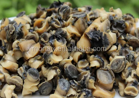 Automatic River Snail Meat and Shell Separating Machine