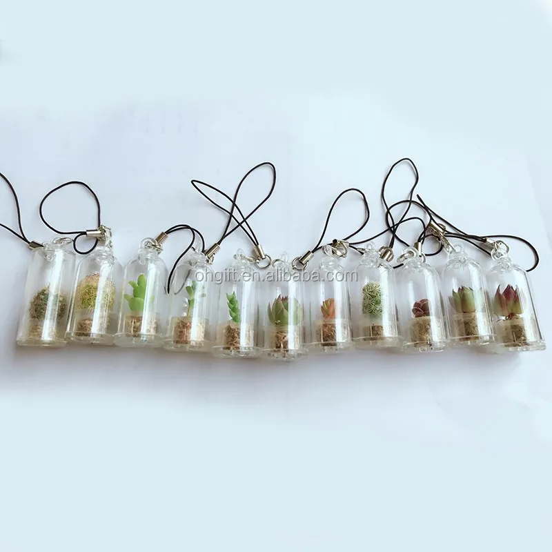Mini Live Plant Key Chain Pocket Plant Mini Cactus Plants - Buy Mini ...