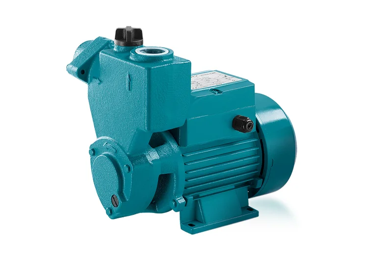 1HP Water Peripheral Flow Pump - Reliable Performance
