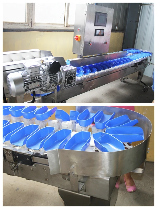 Commercial Blueberry Grading Machine - Efficient & Reliable