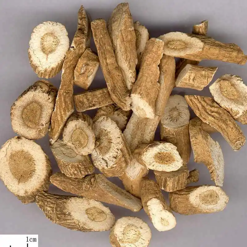 Isatis Indigotica Fort / Isatis Root Whole Root / Slice/ Powder - Buy ...