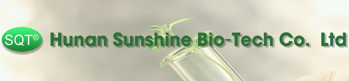 Company Overview - Hunan Sunshine Bio-Tech Co., Ltd.