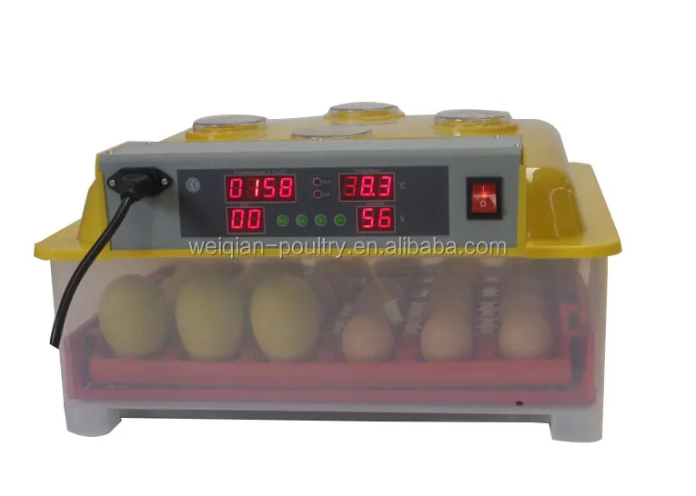 36 Egg Incubator Weiqian Type Mini Incubator - Buy 36 Egg Incubator ...