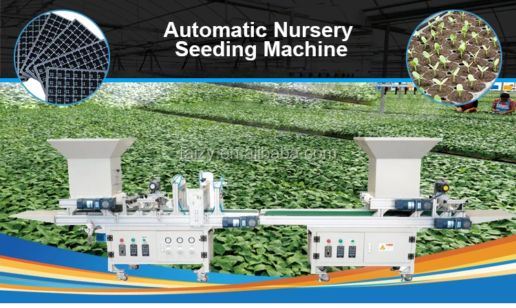 Automatic Nursery Tray Seeding Machine - Precision & Efficiency