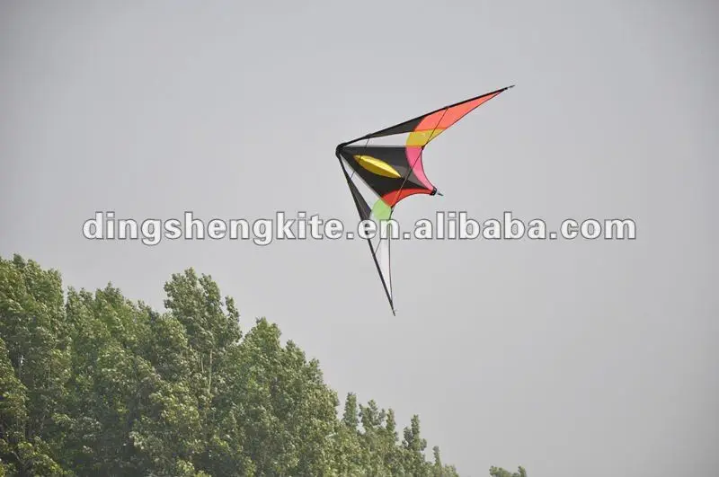 High Quality Double Line Stunt Kite - Dingsheng Parachute Kite