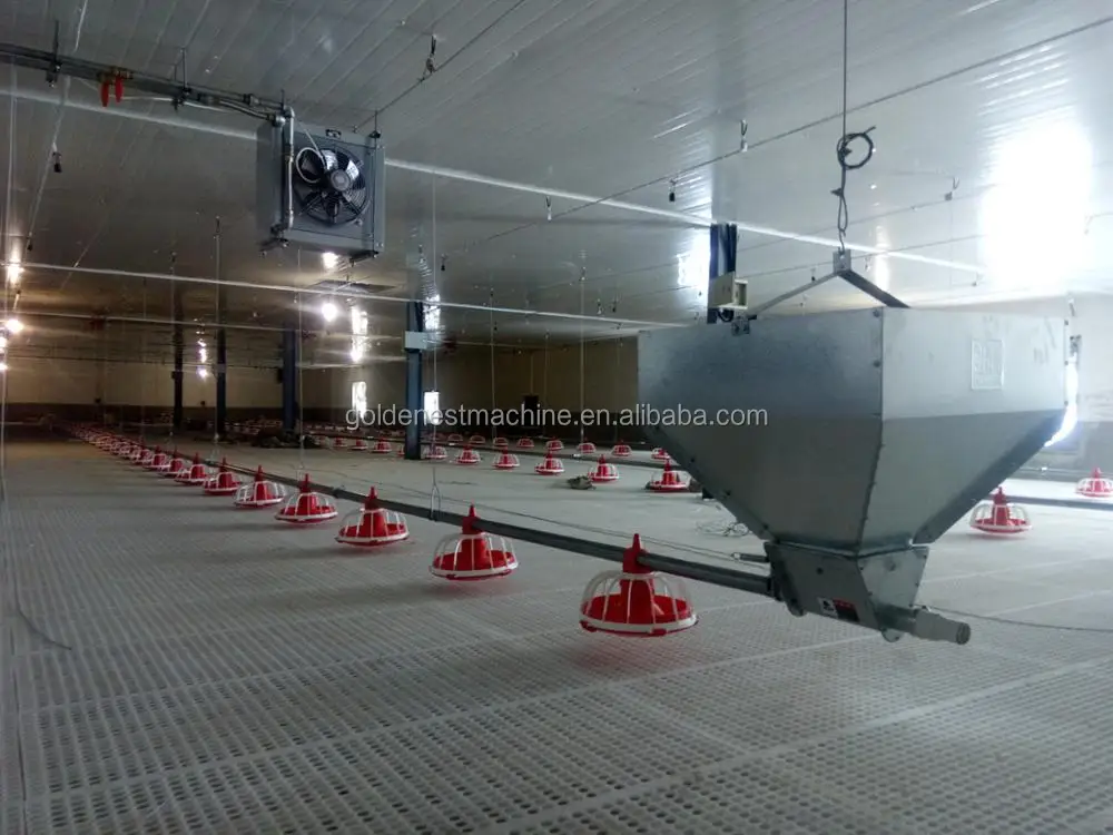China Automatic Pan Feeder For Poultry Manufacturers and Suppliers ...