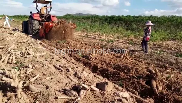 Cassava Harvester Sweet Potato Combine Digger 2 Rows Tapioca ...