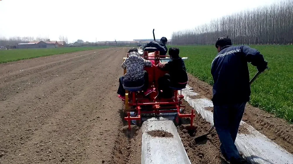 Single Row Potato Planter - Efficient Seeding Solutions