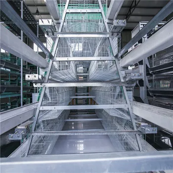 Battery Cage Poultry Rearing With Automatic Drinking System - Buy Cage ...