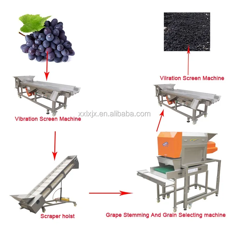 Industrial Automatic Grape Destemming And Grain Picking Machine - Buy ...