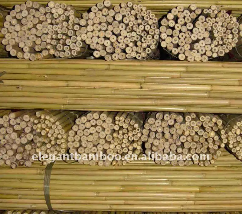Tonkin Bamboo Stake For Orchard Plant Farming Support - Buy Bamboo ...
