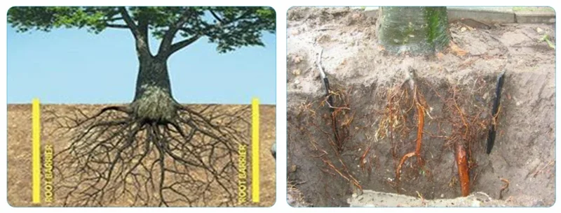 Plastic Hdpe Geomembrane Road Root Barrier/edge/fence Isolation ...