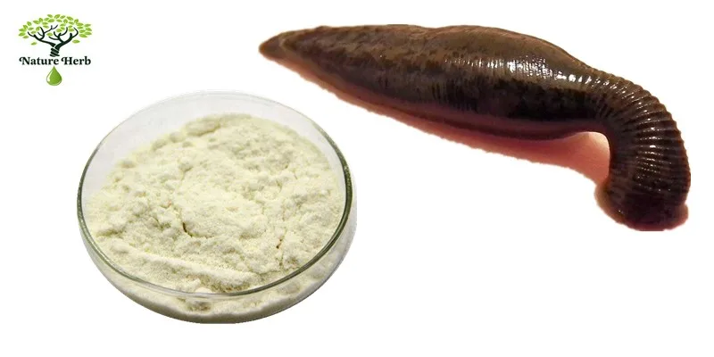 100% Factory Supply Hirudin Extract/leech Hirudin Extract Powder - Buy ...