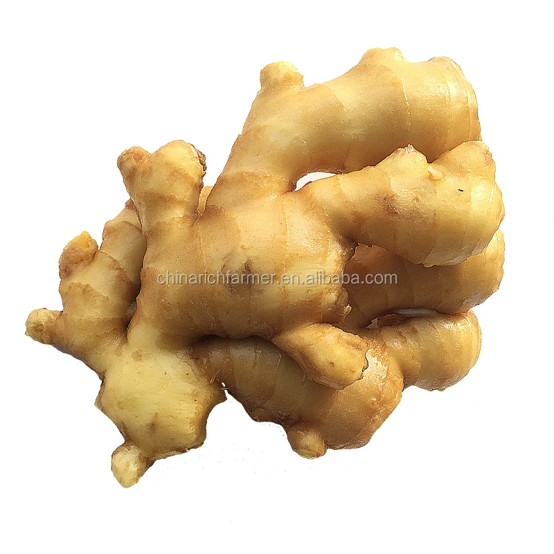 1kg China Mature Fresh Ginger Export Price For Miami - Buy Fresh Ginger ...