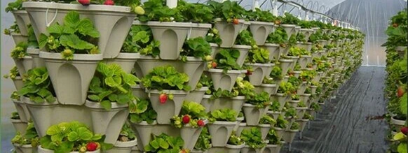 Stackable Planter - Vertical Tower Garden for Commercial
