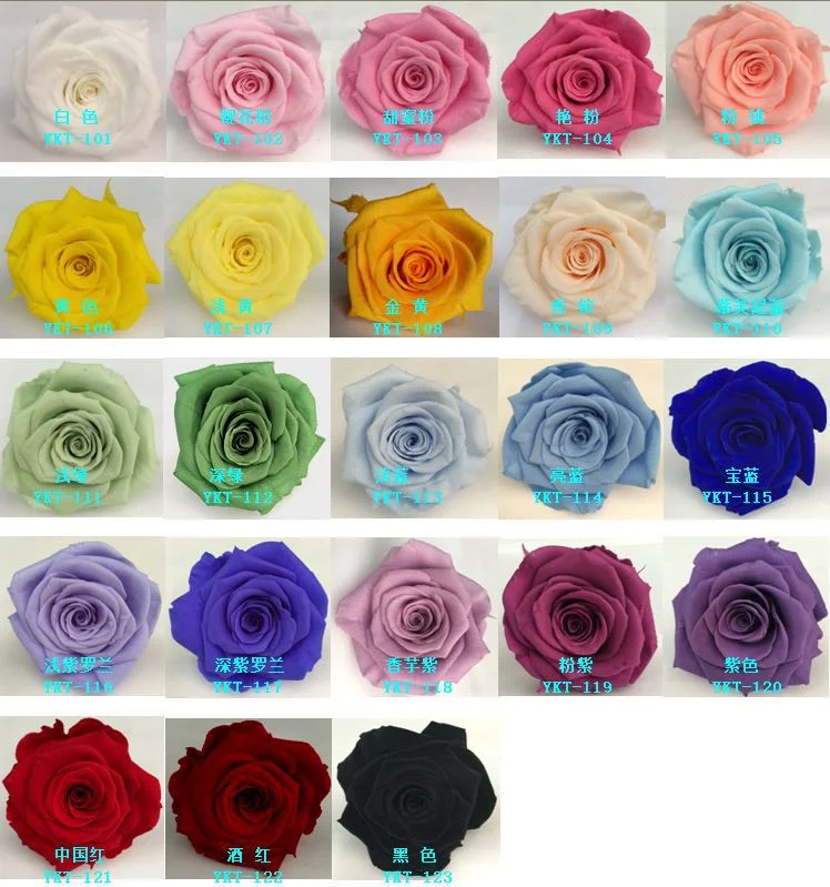 Everlasting Roses Flower Wholesale Colorful Preserved Flower Gift ...