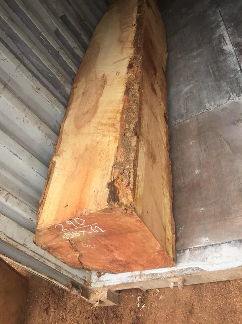 Padouk,Kevazingo,Tali,Sapelli,Okan,Azobe,Dibetou,Okoume,Ovengk Timber ...