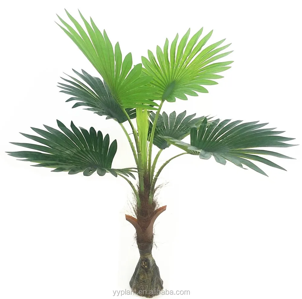 Newly Launched Small Stem Small Fan-shape Leaves Palm Tree With Real ...