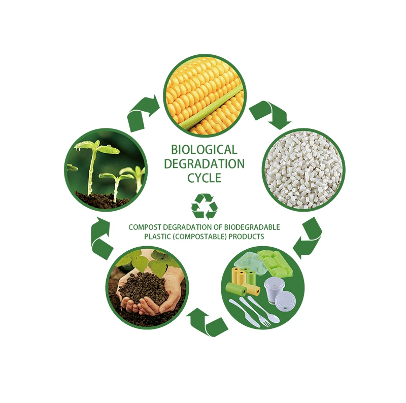 China Manufacturer 100% Biodegradable Modified Polylactide Resin,Pla ...