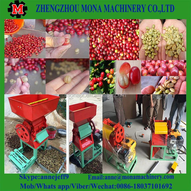 Adjustable Che Coffee Depulper / Stainless Coffee Pulping Machine ...