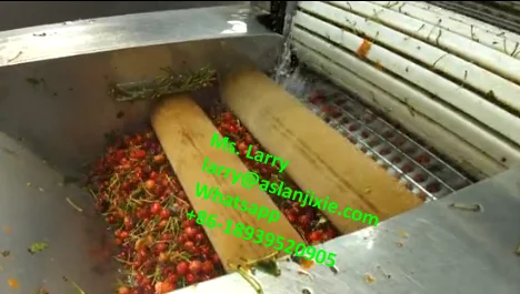 Cerise Stemming Machine/cherry Destemmer/cherry Stem Removing Machine ...