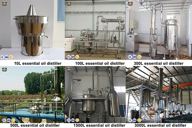 Home Distilling Equipment Lavender Oil Distiller Steam 10l Rose ...