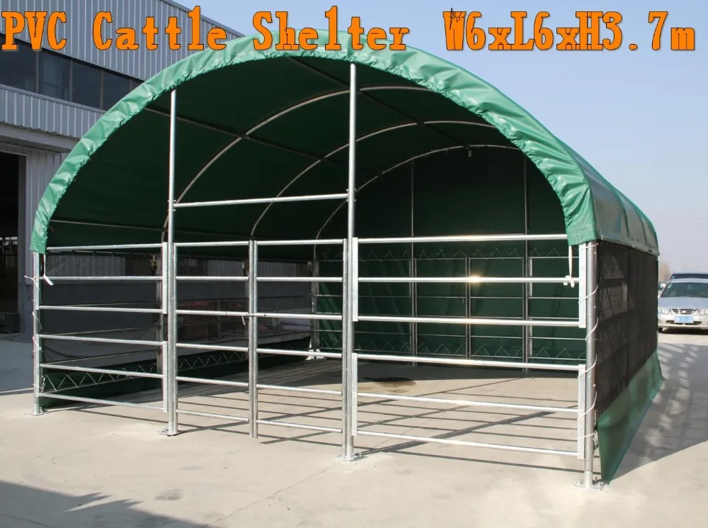 6m X 6m Livestock Shelter/portable Cattle Tent - Buy Cattle Shelter ...