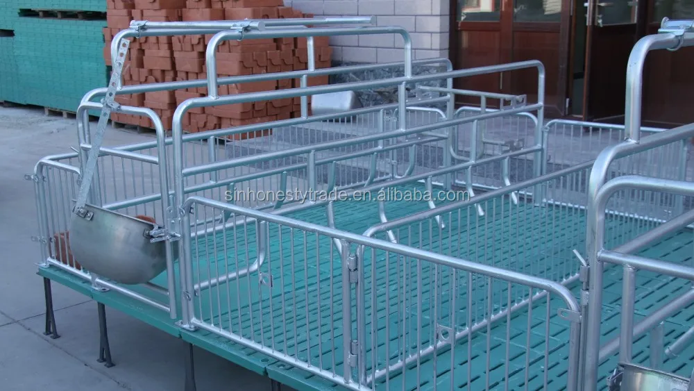 Philippines Pig Farrowing Pen - Durable & Safe Design