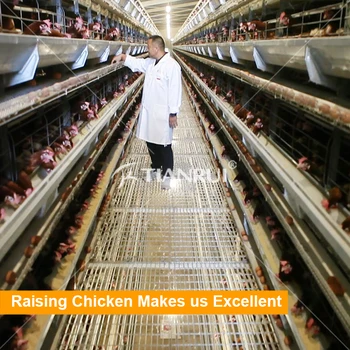 Advantages Poultry Rearing Chicken Battery Cage System Of Poultry ...