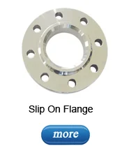 ASME Carbon Steel Pad Type Flange - Durable & Versatile