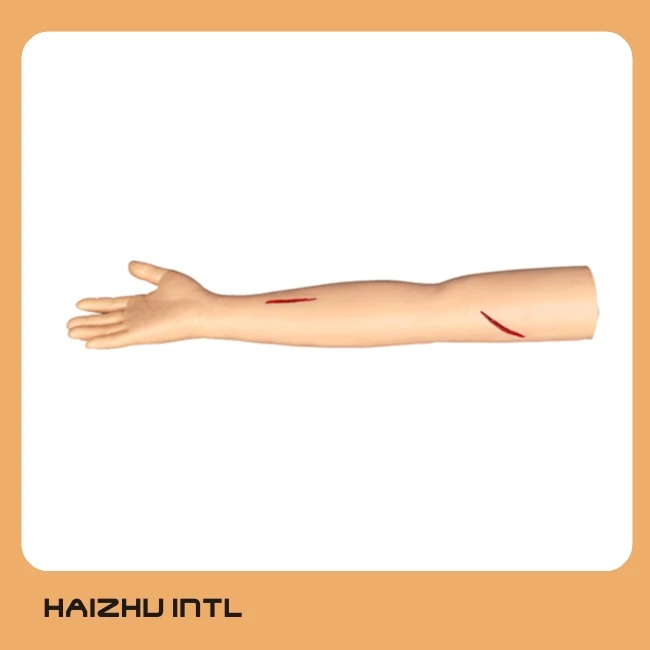 Surgical Incision and Suture Training Arm, Incising and Suturing ...