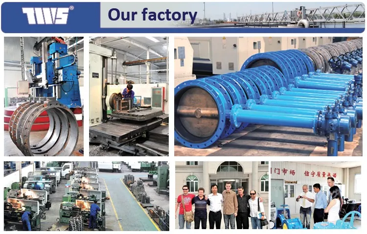 TWS Lug Butterfly Valve - Durable, Standard, and Efficient
