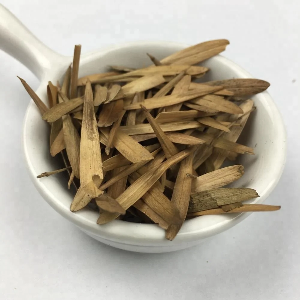 Fraxinus Chinensis High Germination Rate Grow Quickly Natural Chinese ...