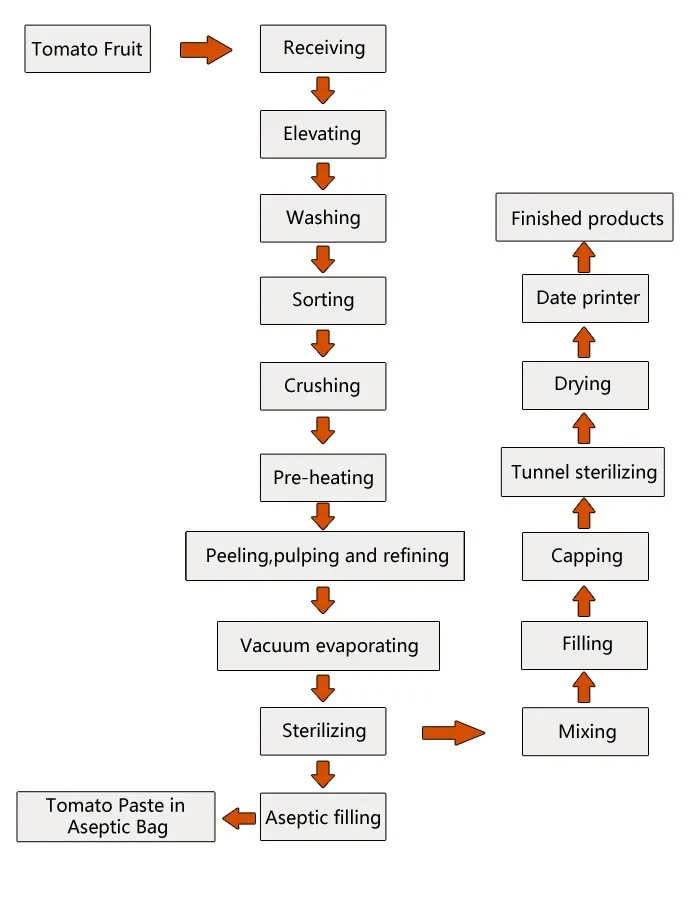 Flow Diagram For Tomato Paste Processing Tomato Paste Produc