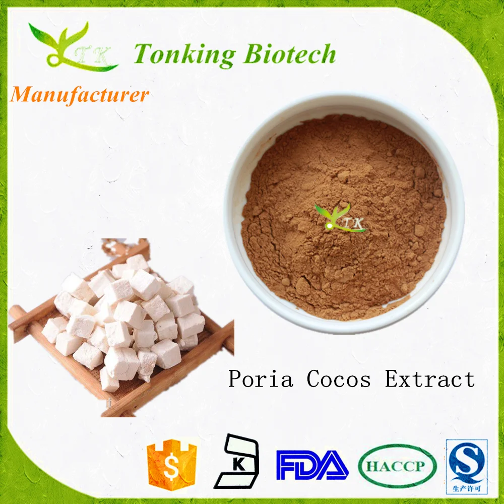 Natural Poria Cocos Extract Fuling Extract Powder - Buy Fuling Extract ...