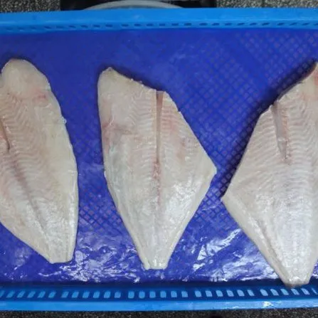 Frozen Black Pomfret Fish Brama Brama Fillet - Buy Black Pomfret ...