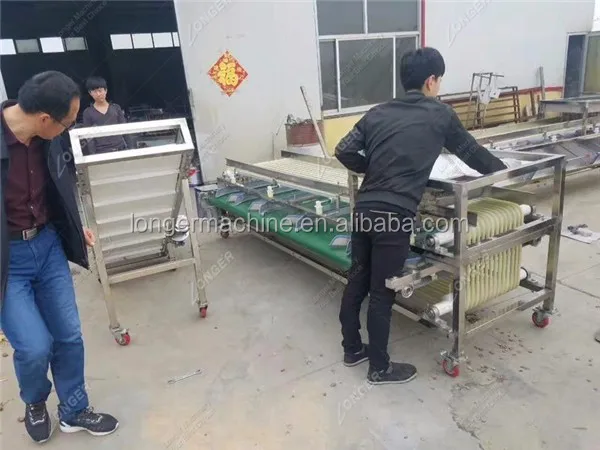 Blueberry Lemon Menyortir Mesin | Mesin Penyortir - Buy Blueberry Mesin ...