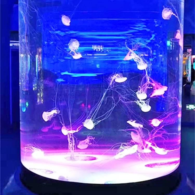 Hot !!! New Jellyfish Aquarium Tank - Buy Jellyfish Aquarium Tank ...
