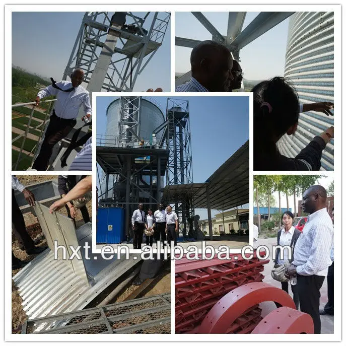 High Safety Resin Silo for Bulk PE PVC with Ladder Cost