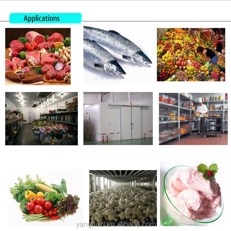 Cold Storage Outdoor Wall and Roof Polyurethane Panels