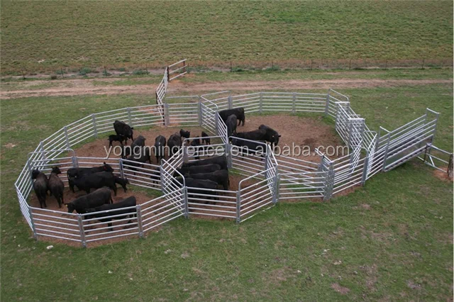 Australia Cattle Yard Panel - Buy Hot Dipped Galvanized Cattle Yard ...