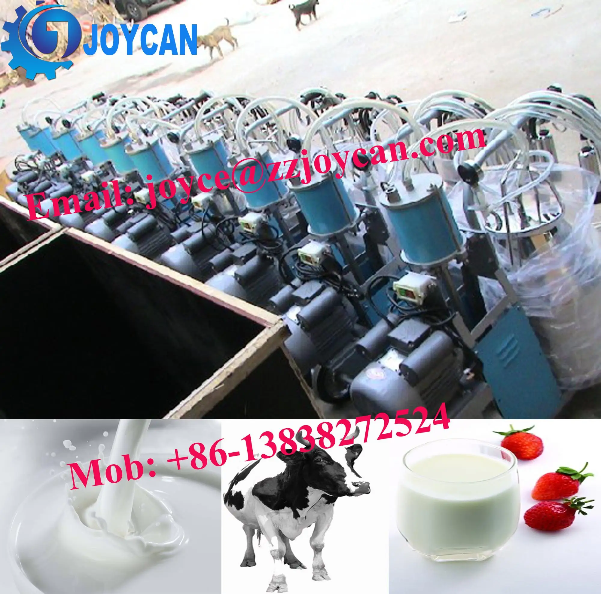 Human Cow Milking Machine for Sale - Low Price Male Milking Machine for ...