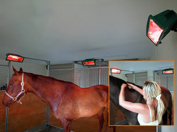 Animal Heater Horse Stable Using Infrared Glass Panel Heater - Buy Animal Heater,Infrared Glass ...