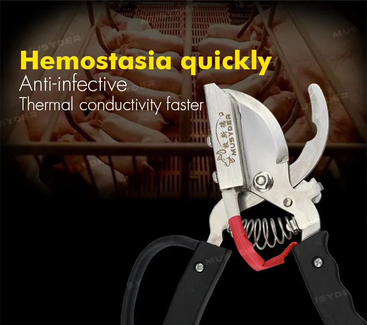Veterinary Instrument Stainless Piglet/lamb Electric Heat Cutting ...