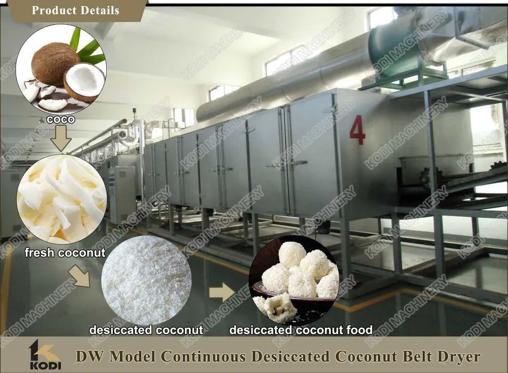 Dw Model Continuous Desiccated Coconut Belt Dryer Belt Drying Machine ...