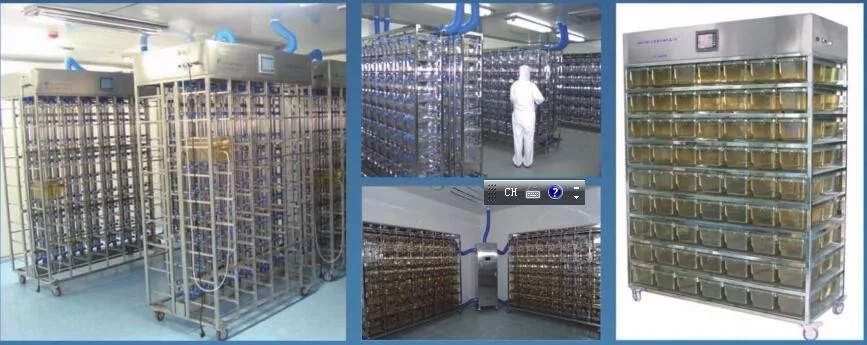 Laboratory Rat Cages For Breeding Rodent Mouse - Buy Laboratory Rat ...