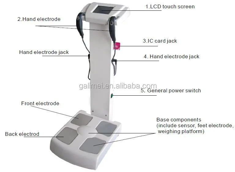 High Accuracy Professional Bia Bioelectrical Impedance Analysis Machine ...