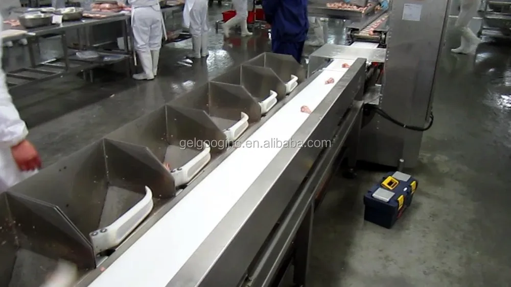 Fish Sorting Machine - Efficient Vis Wegen & Vis Sorteren