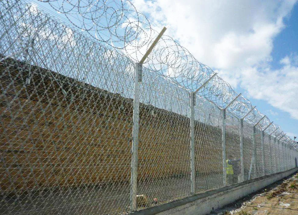 Razor Blade Wire Mesh Roll / Security Razor Blade Fence For House / Bto ...